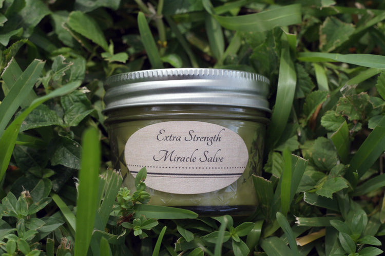 Merry Jen’s Kitchen – Merry Jen's Kitchen